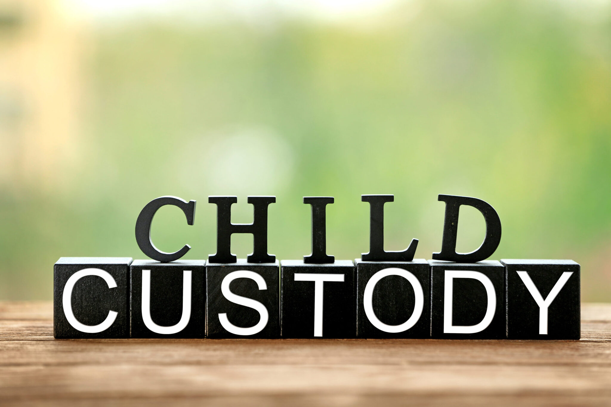 Family Law – Georgia Courts