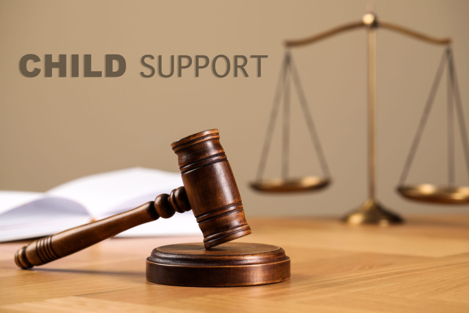 Family Law – Georgia Courts